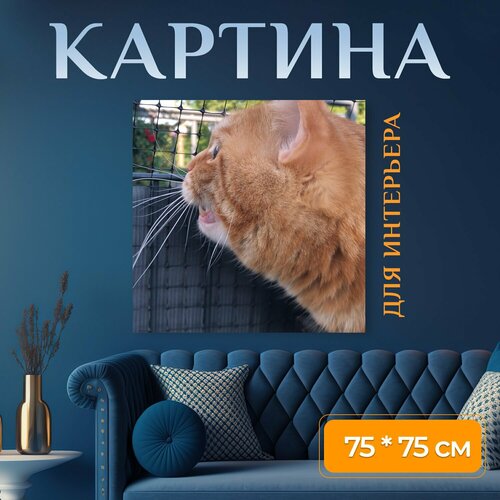 Картина на холсте "Кошка, котенок, густаф" на подрамнике 75х75 см. для интерьера