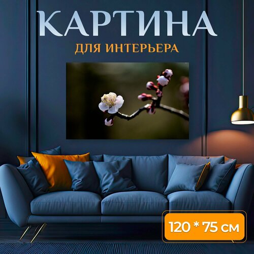 Картина на холсте "Вишни в цвету, сакура, дерево" на подрамнике 120х75 см. для интерьера