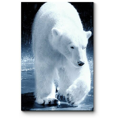 Модульная картина Белый полярный красавец 60x90
