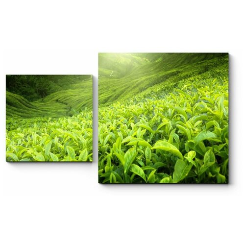 Модульная картина Бескрайняя зелень полей 60x36
