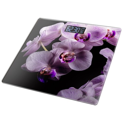 Весы электронные MARTA MT-1676 Орхидея, фиолетовый