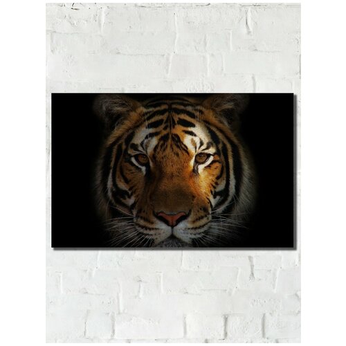 Картина интерьерная на рельефной доске Животные (тигр) - 622
