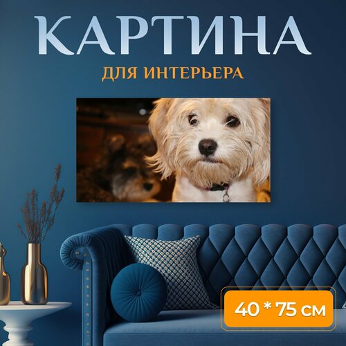 Картина на холсте "Собака, щенок, лояльный" на подрамнике 75х40 см. для интерьера