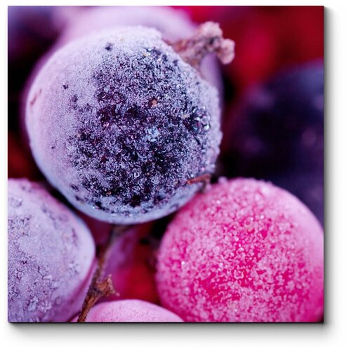 Модульная картина Зимние ягоды 50x50