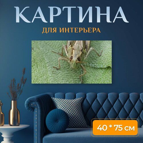 Картина на холсте "Кузнечик, насекомое, сад" на подрамнике 75х40 см. для интерьера