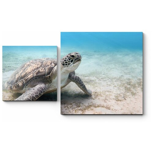 Модульная картина Чарующая подводная черепаха 60x36