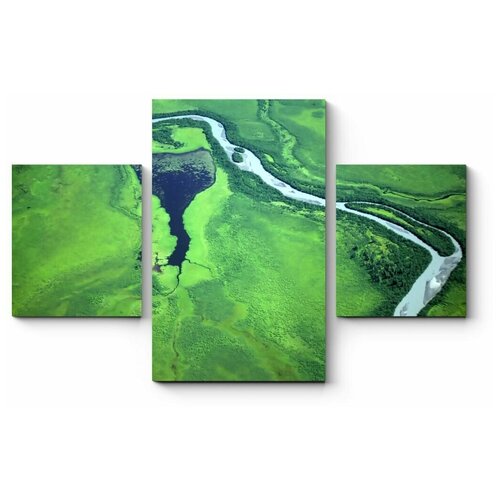 Модульная картина Зеленые поля и река с высоты птичьего полета 90x59