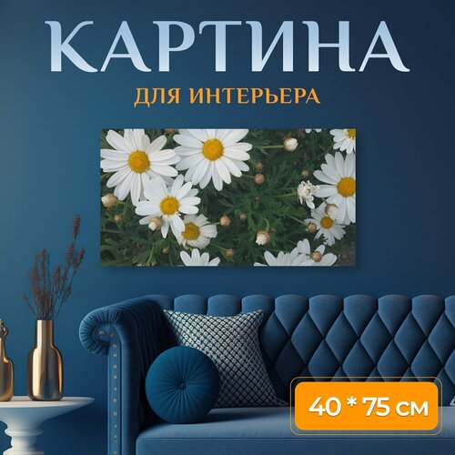 Картина на холсте "Маргаритки, цветы, лужайка" на подрамнике 75х40 см. для интерьера