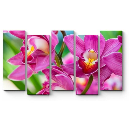 Модульная картина Тайские орхидеи, Чиангмай (Таиланд) 160x92