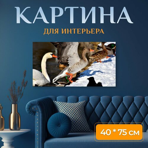 Картина на холсте "Лебедь, утки, дикий гусь" на подрамнике 75х40 см. для интерьера