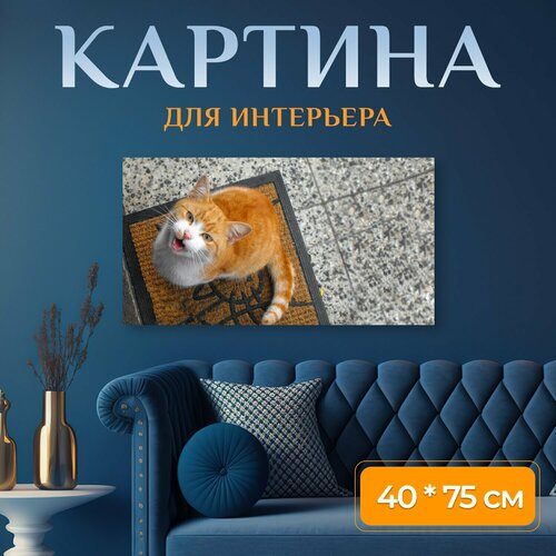 Картина на холсте "Кот, мужчина, домашний питомец" на подрамнике 75х40 см. для интерьера