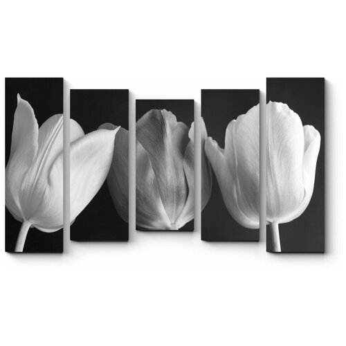 Модульная картина Монохромные тюльпаны 170x102