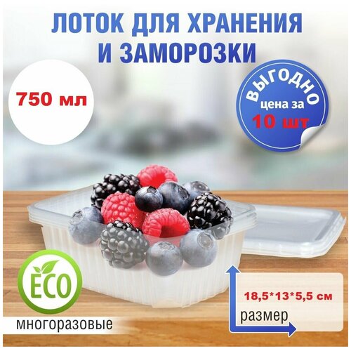 Контейнер пищевой для хранения и заморозки, 750мл*10 штук, 186мм*132мм контейнер пищевой пластиковый с крышкой