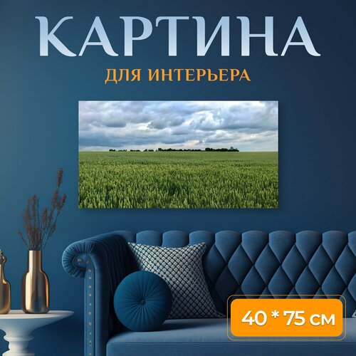 Картина на холсте "Поле, кукурузное поле, зеленый" на подрамнике 75х40 см. для интерьера