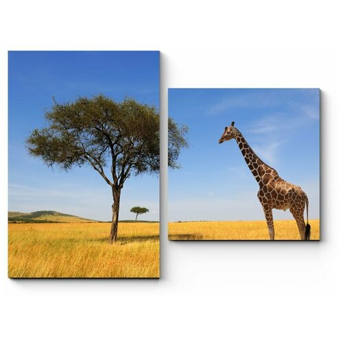 Модульная картина Одинокий африканский жираф 40x30