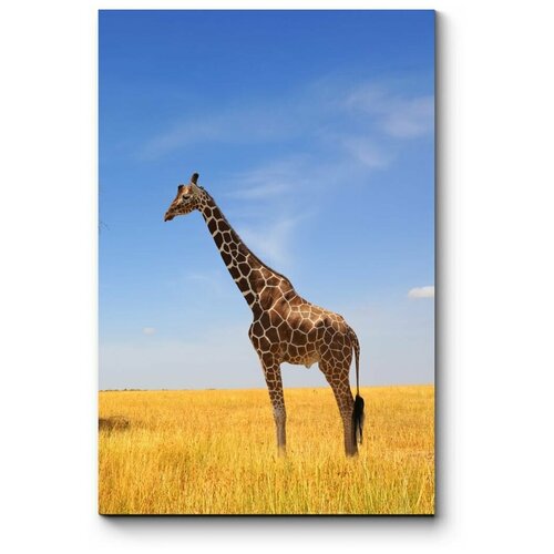 Модульная картина Одинокий африканский жираф 30x45
