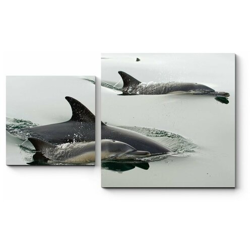 Модульная картина Счастливая семья дельфинов100x60
