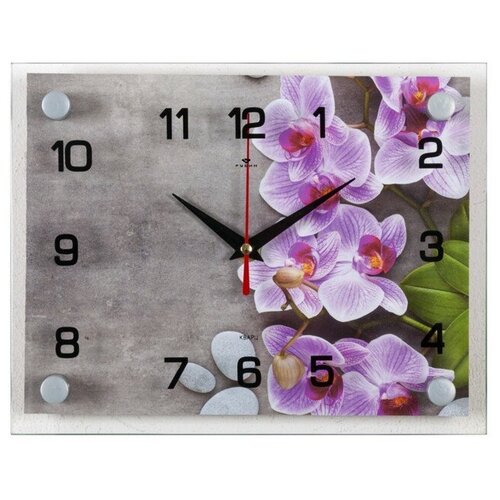 Часы настенные, серия: Интерьер, "Орхидеи", плавный ход, 20 х 26 см