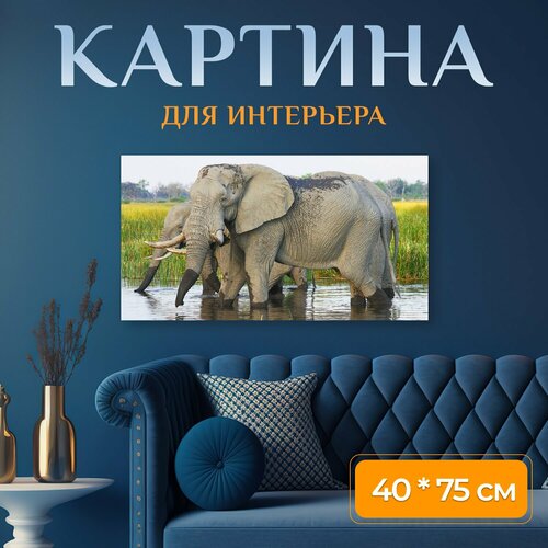 Картина на холсте "Слон, африке, саванновый африканский слон" на подрамнике 75х40 см. для интерьера