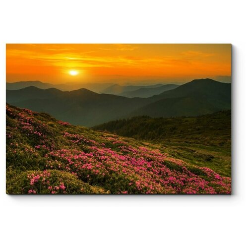 Модульная картина Волшебные розовые цветы в горах 90x60