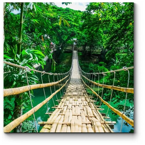 Модульная картина Бамбуковый пешеходный подвесной мост через реку в тропическом лесу 40x40
