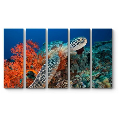 Модульная картина Морская черепаха в кораллах150x90
