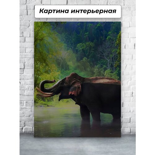 Картины для интерьера 20х30 Слон Дикая Природа
