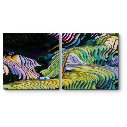 Модульная картина Рисовые поля, Вьетнам 140x70