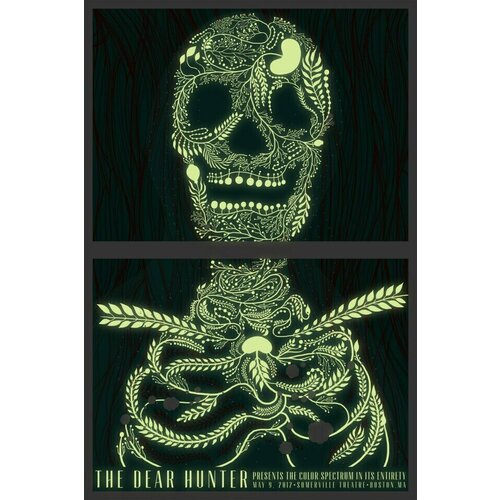 Плакат, постер на холсте Skull/Череп. Размер 60 х 84 см