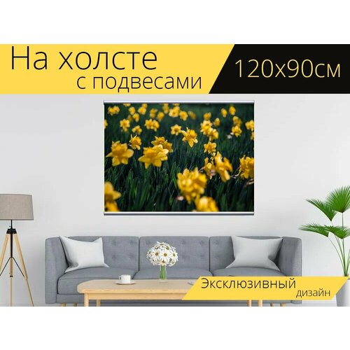 Картина на холсте "Нарциссы, цветы, луг" с подвесами 120х90 см. для интерьера