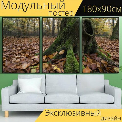 Модульный постер "Падение, лес, листья" 180 x 90 см. для интерьера