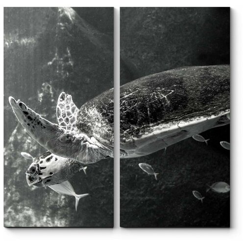 Модульная картина Морская черепаха110x110
