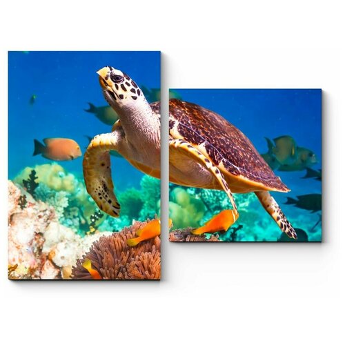 Модульная картина Черепаха в коралловом рифе60x45