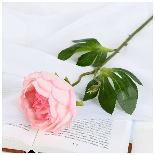 Poetry in flowers Цветок искусственный "Пышный пион" 7х47 см розовый