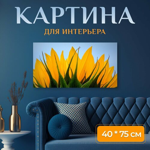 Картина на холсте "Подсолнечник, цветок, природа" на подрамнике 75х40 см. для интерьера