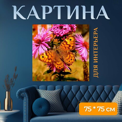 Картина на холсте "Природа, насекомое, цветок" на подрамнике 75х75 см. для интерьера
