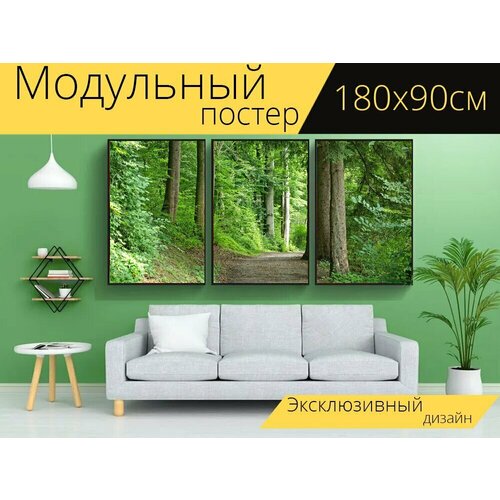 Модульный постер "Дорожка, лес, лесная тропа" 180 x 90 см. для интерьера