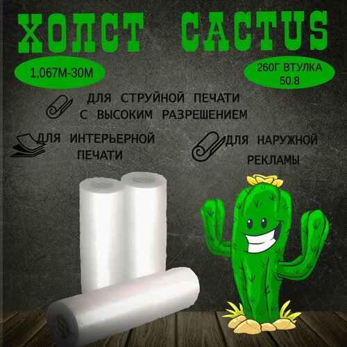 Холст Cactus A0+ 1067мм-30м 260г/м2 белый для струйной печати втулка:50.8мм