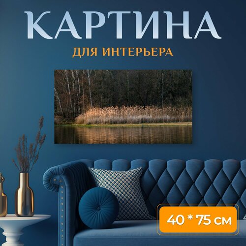 Картина на холсте "Тростник, банк, озеро" на подрамнике 75х40 см. для интерьера