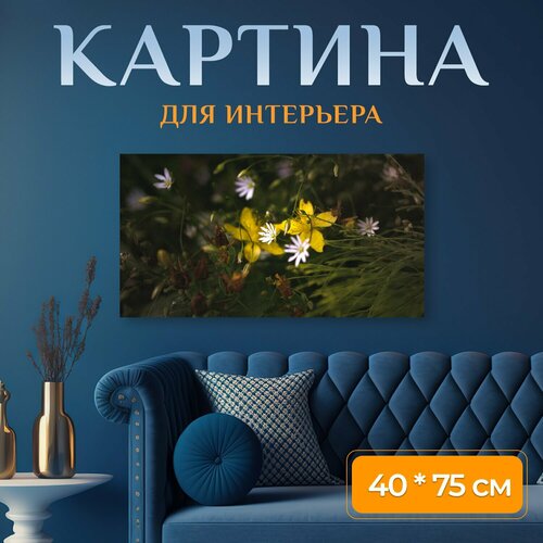 Картина на холсте "Цветок, цветы, характер" на подрамнике 75х40 см. для интерьера