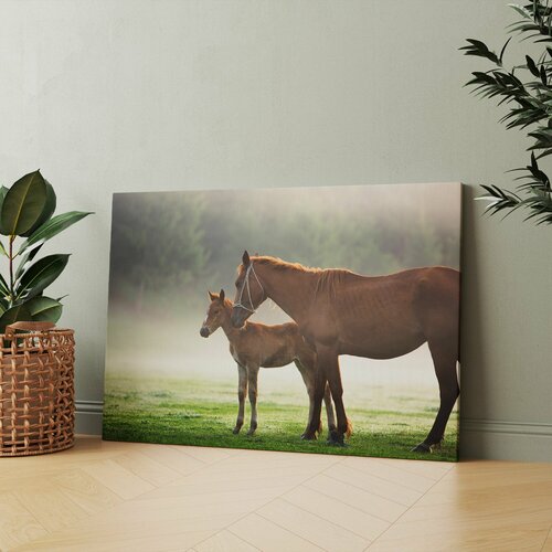 Картина на холсте "Коричневая лошадь, стоящая рядом с маленькой лошадью на пышном зеленом поле" 40x60 см. Интерьерная, на стену.