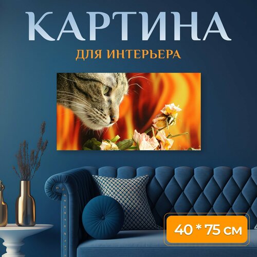 Картина на холсте "Кошка, мирных, расслабиться" на подрамнике 75х40 см. для интерьера