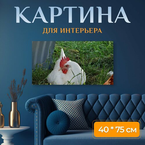 Картина на холсте "Курица, перерыв на отдых, белый" на подрамнике 75х40 см. для интерьера