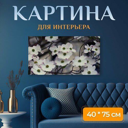 Картина на холсте "Кизил, цветы, филиал" на подрамнике 75х40 см. для интерьера