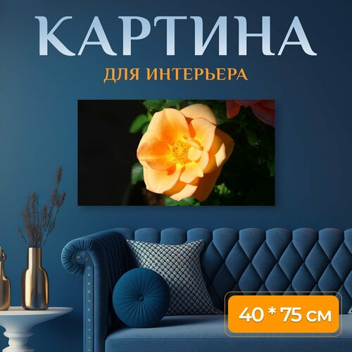 Картина на холсте "Цветок, оранжевый цветок, лепестки" на подрамнике 75х40 см. для интерьера