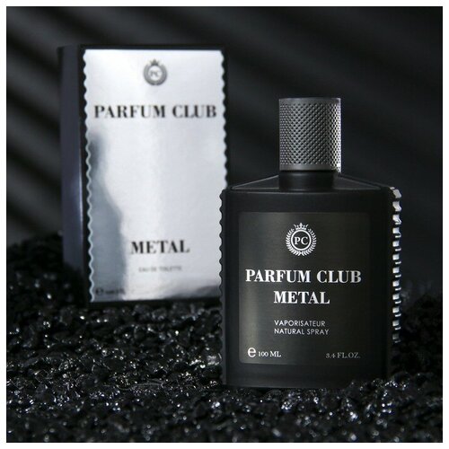 TODAY PARFUM Туалетная вода мужская Parfum Club Metal, 100 мл (по мотивам Egoiste Platinum (Chanel)