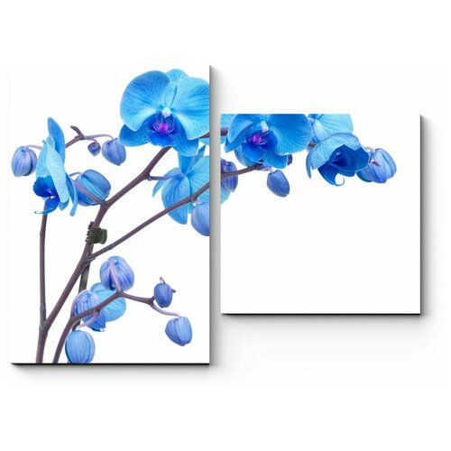 Модульная картина Орхидея небесного цвета60x45