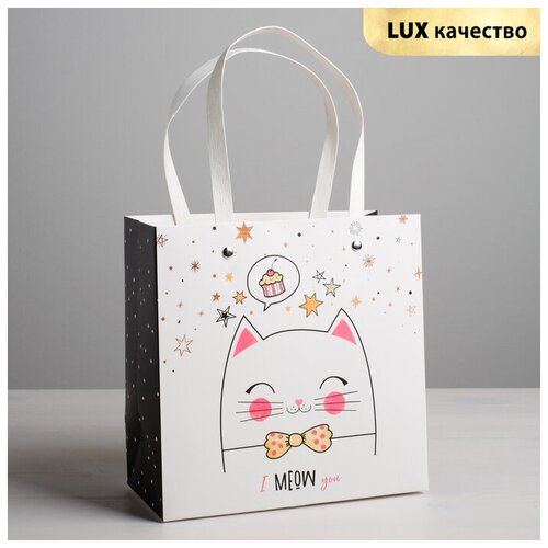 Дарите Счастье Пакет подарочный «Котик», 20 × 20 × 10 см