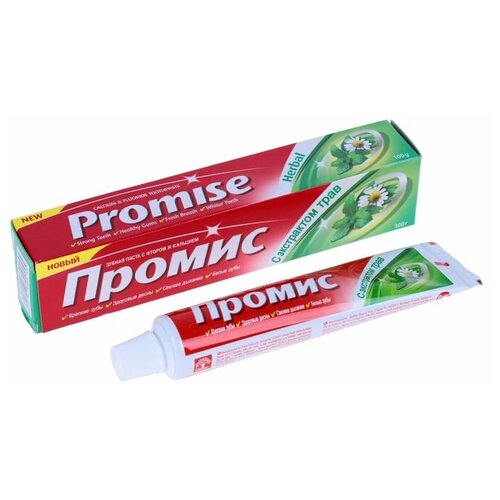 Зубная паста Промис С экстрактом трав 100 гр. 1865434