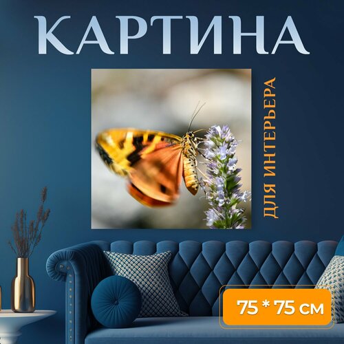 Картина на холсте "Бабочка, цветок, опыление" на подрамнике 75х75 см. для интерьера